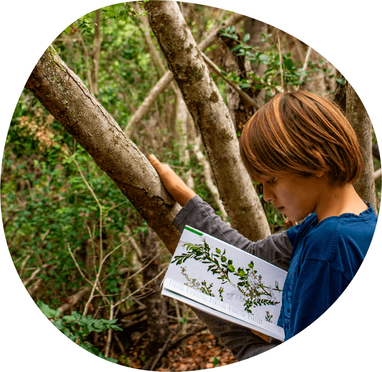 Colegio Humboldt | Enseñamos conocimientos y habilidades para formar ...